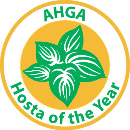Hosta of the Year – The Happy Hosta